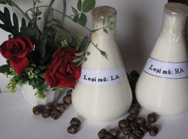 PRODUCT Cao Su Ly T?m : T?P ?O?N C?NG NGHI?P CAO SU VI?T NAM