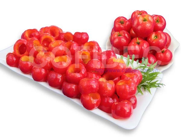 PRODUCT Acerola Seedless : C?ng ty Ph?t tri?n Kinh t? Duy?n H?i (COFIDEC)