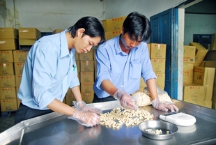 PRODUCT Gi?m ??nh S?n ph?m n?ng nghi?p v? Th?c ph?m : CTY C? PH?N GI?M ??NH VINACONTROL | The ...