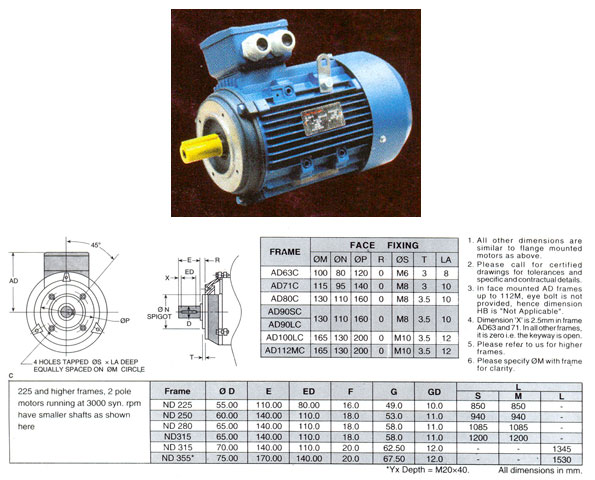 PRODUCT HIGH EFFICIENCY MOTOR FACE MOUNTING : บริษัท เจริญเมือง แมชชีนเ ...