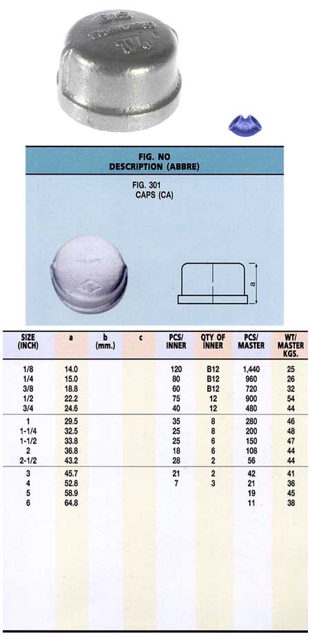 บริษัท บีส ไพพ์ฟิตติ้งอินดัสตรี จำกัด : PIPE FITTING "CAPS (CA)"
