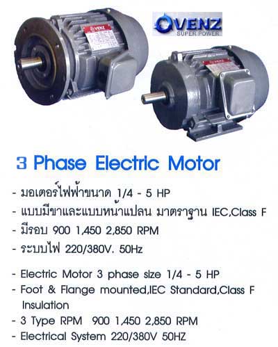 บริษัท ที.เอ็น. เมตัล เวิร์ค จำกัด : 3 Phase Electric Motor