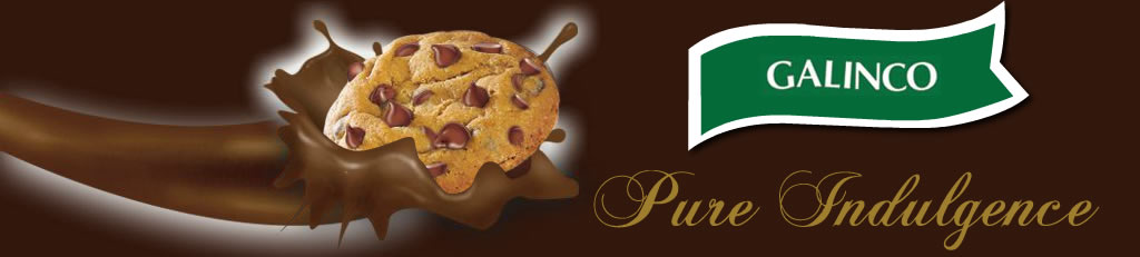 PRODUCT Chips Delight Chocolate Magic : Galinco Trading and ...