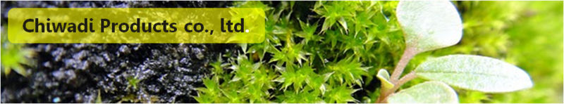 HOME : บริษัท ชีวาดี โปรดักส์ จำกัด | Chiwadi Products Co.,Ltd