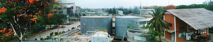 PROFILE : บริษัท ไทยฟูดส์ อินเตอร์เนชั่นแนล จำกัด | Thai Foods ...