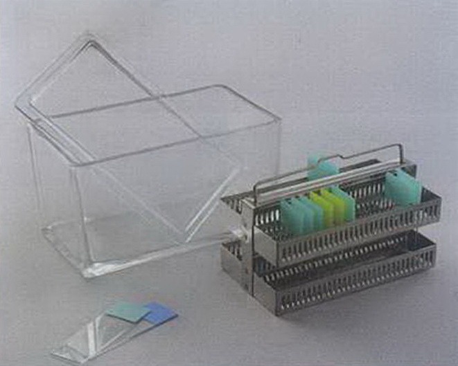 บริษัท เอ เอส ไซน์ จำกัด : Plastic Staining Jars & Racks