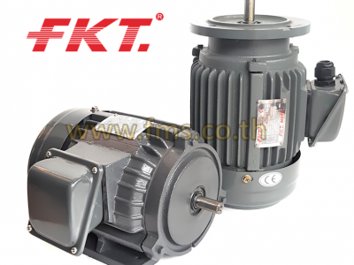 บริษัท ฟลูอิดแมคคานิคซัพพลาย จำกัด : มอเตอร์ไฟฟ้า