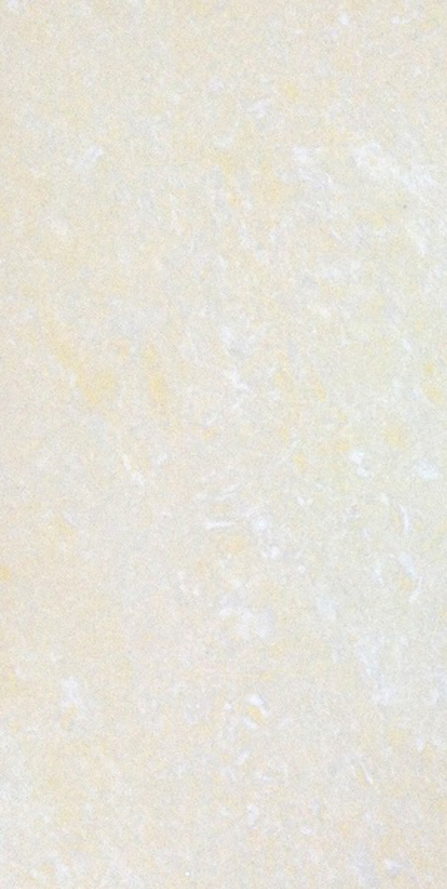 บริษัท สหโมเสคอุตสาหกรรม จำกัด (มหาชน) : Yellow Tail