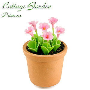 PRODUCT Primrose : บริษัท พริส แอนด์ พีช จำกัด | Priss and Peach Co.,Ltd.