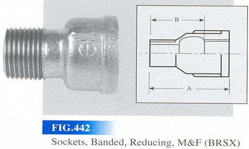 PRODUCT Sockets, Banded, M&F : บริษัท ไทยมัลลิเอเบิลไอออนแอนด์สตีล ...