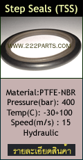 PRODUCT Step Seals (TSS) : บริษัท สยามดราก้อน พาร์ท จำกัด | Siam Dragon ...