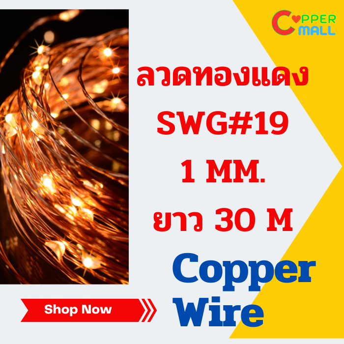 บริษัท ที.เอช.แอล.เคเบิ้ล จำกัด/ คอปเปอร์มอล : ลวดทองแดงอบนิ่มSWG#19 1mm
