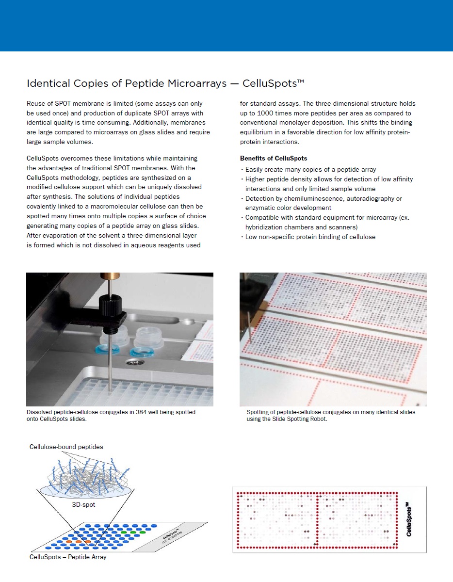 PRODUCT Automated Parallel Peptide Synthesizer MultiPep 2 : บริษัท ไทย ...