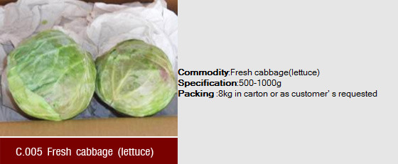 PRODUCT cabbage : บริษัท เอส.ที.วี.เทรดดิ้ง เอเยนซี่ จำกัด | S.T.V ...