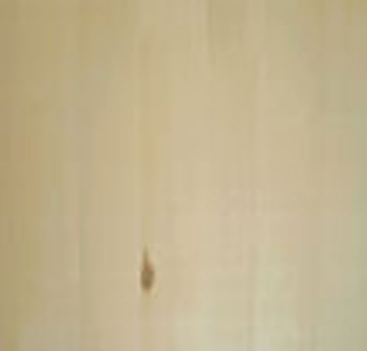 PRODUCT V?N G? BUL? NGA : C?ng ty TNHH Ph?t Tri?n | Development Company Limited