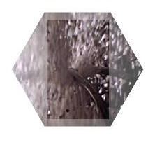 PRODUCT Polyester : POLYCHEM INDONESIA TBK, PT | POLYCHEM INDONESIA TBK, PT