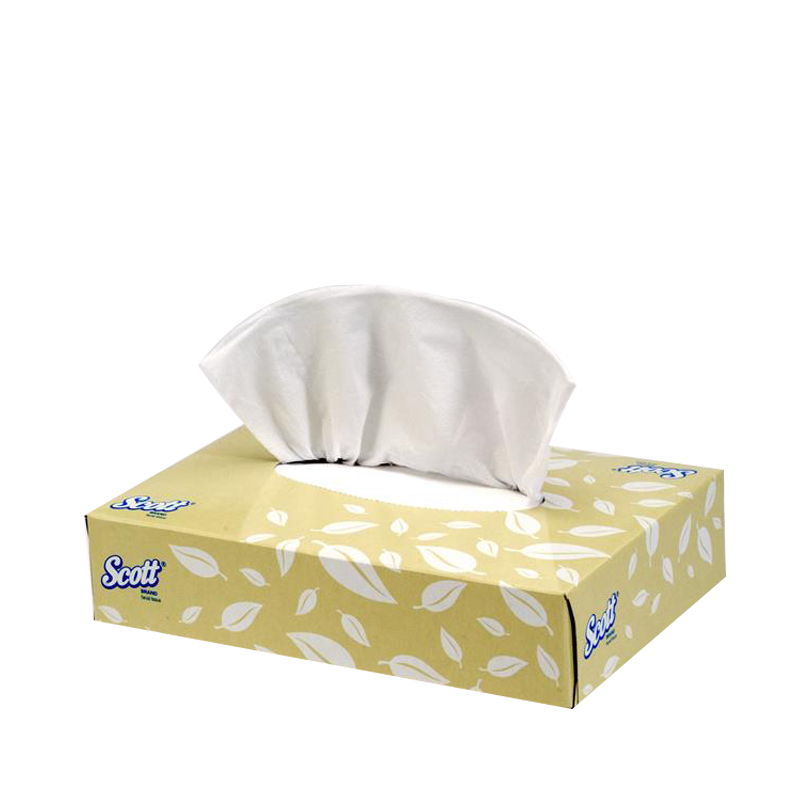 DSI : กระดาษเช็ดหน้า 60 แผ่น (Short) SCOTT® 60's 17020