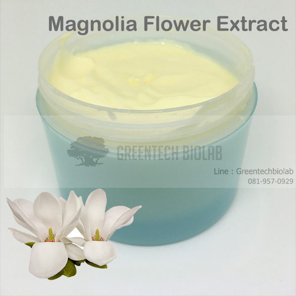 บริษัท กรีนเทคไบโอแลบ จำกัด : Miracle Magnolia Flower Lotion