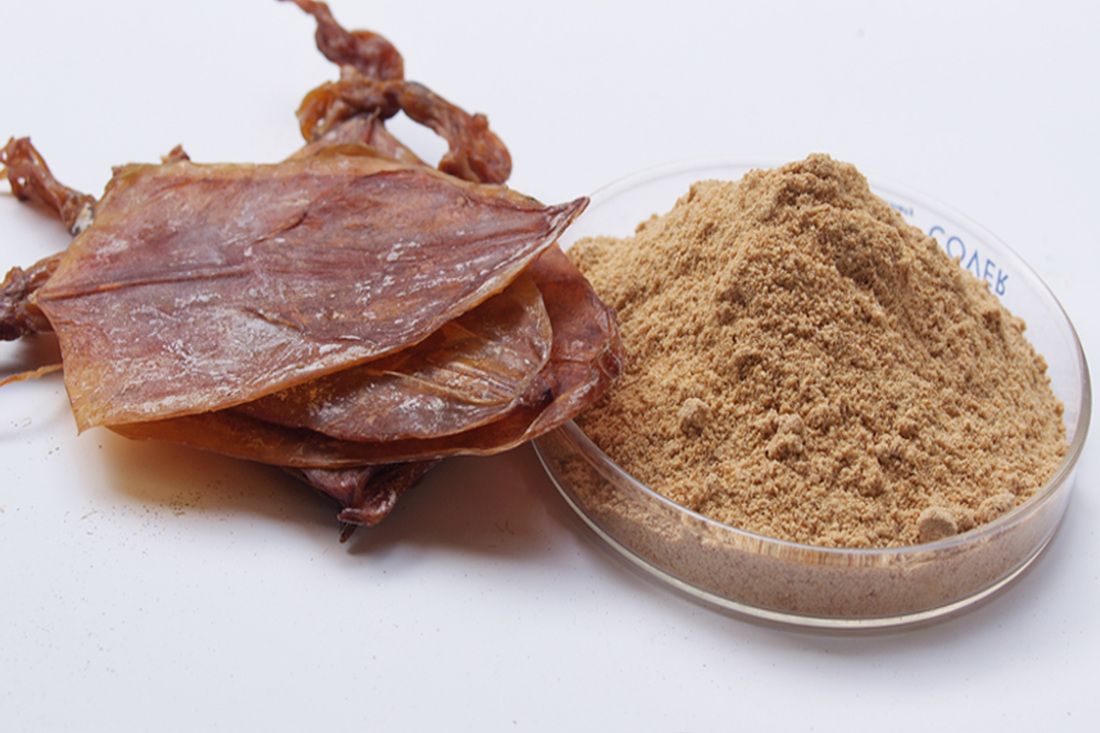PRODUCT Squid Powder : บริษัท คานาอัน เอ็นเตอร์ไพรส์ (ประเทศไทย) จำกัด ...