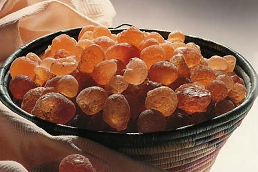 PRODUCT Gum Arabic : บริษัท คานาอัน เอ็นเตอร์ไพรส์ (ประเทศไทย) จำกัด ...