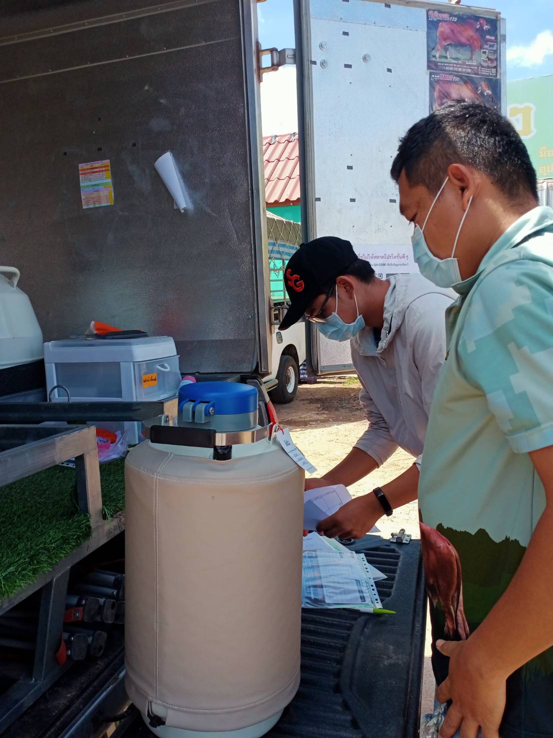 PRODUCT น้ำเชื้อวัวแยกเพศนำเข้าจากสหรัฐอเมริกา ROCKY ELMER 391 : ภูรินท ...