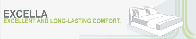 PROFILE : บริษัท เอกซ์เซลล่า จำกัด | Excella.Co.Ltd