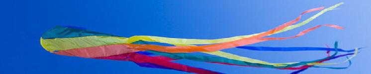 PROFILE : บริษัท เซมมิ เทรดดิ้ง จำกัด | CEMMI TRADING CO., LTD