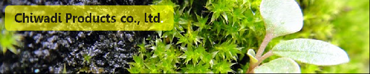 HOME : บริษัท ชีวาดี โปรดักส์ จำกัด | Chiwadi Products Co.,Ltd