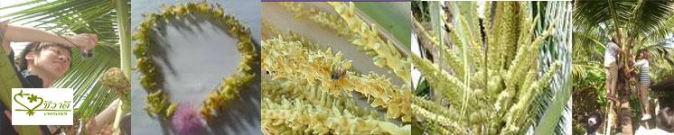 HOME : บริษัท ชีวาดี โปรดักส์ จำกัด | Chiwadi Products Co.,Ltd