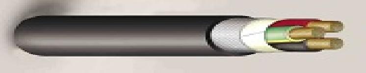 PROFILE : บริษัท ไทร์แองเกิลเคเบิล (ประเทศไทย) จำกัด | Triangle Cables ...