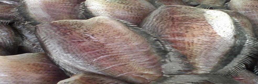 PROFILE : แม่อำนวย ปลาสลิด บางบ่อ | MAEUMNOY PLASALID BANGBO id : nara3450