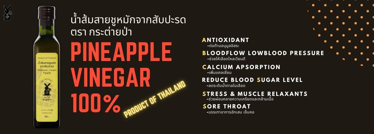 HOME : ห้างหุ้นส่วนจำกัด วีบี้ โรบิก้า | VBY ROBIKA