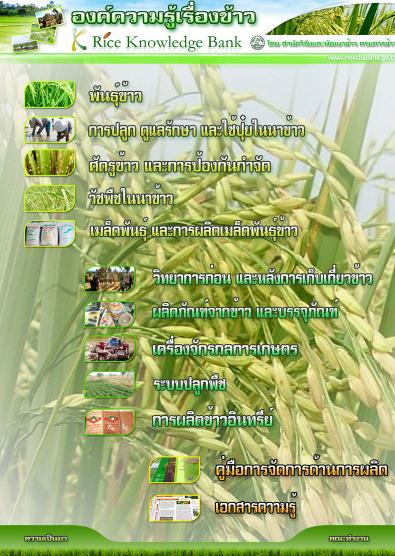 KNOWLEDGE องค์ความรู้เรื่องข้าว (Rice Knowledge Bank) : สภาอุตสาหกรรม ...